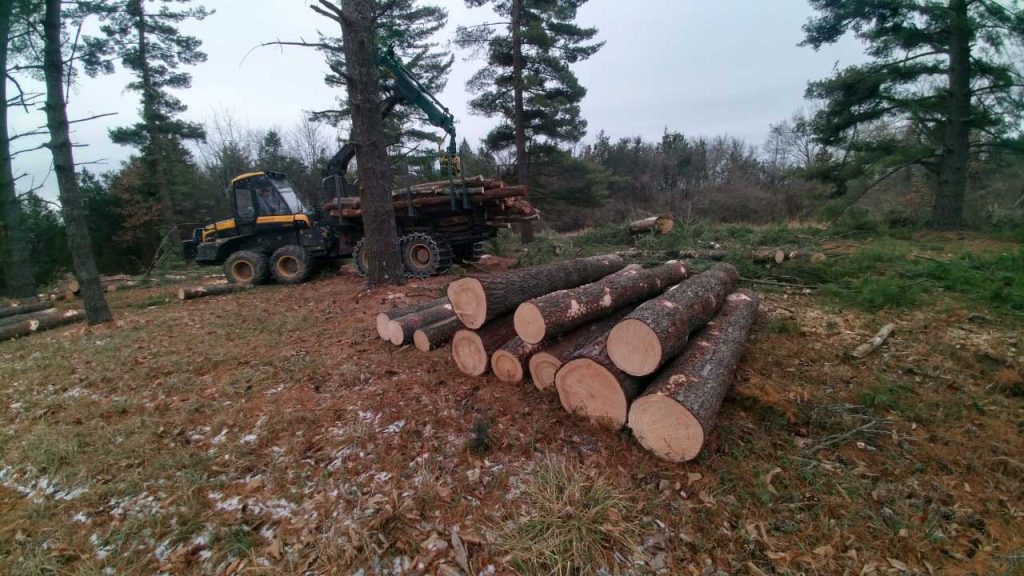 Big River Timber Co. – Logging Contractor